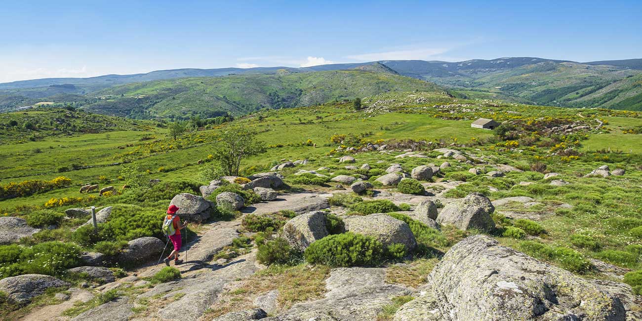 GR®70, chemin de Stevenson : un sentier mythique - Mon GR®