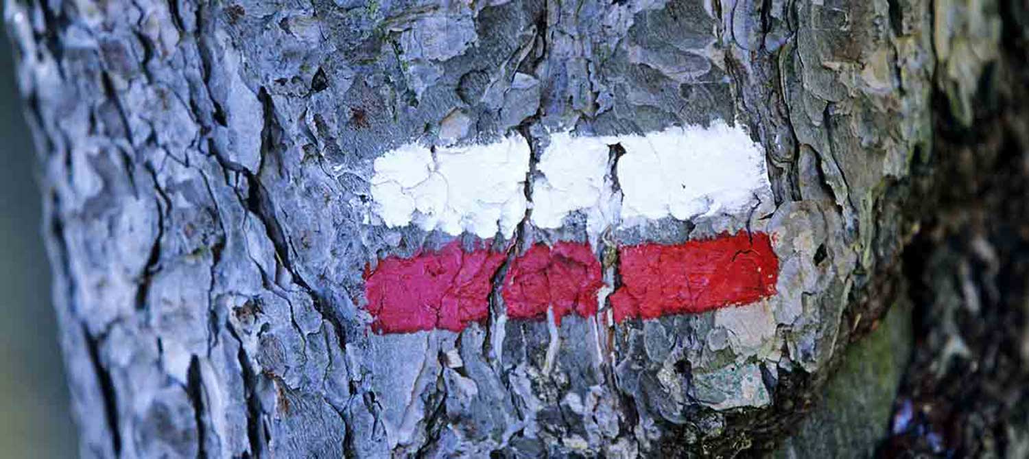 Le balisage en randonnée : suivez les bonnes balises ! - Mon GR®