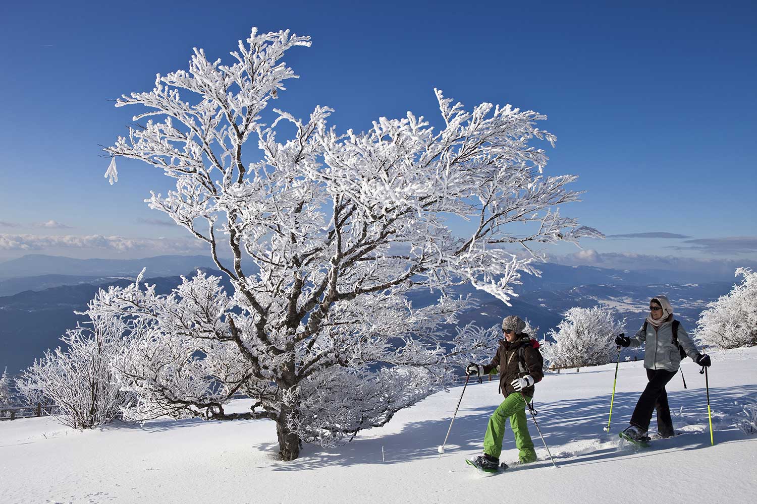Comment Se Protéger Du Froid Lors Dune Randonnée Dhiver Mon Gr®