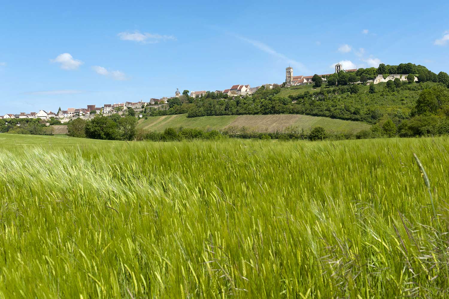 GR® 654 : le chemin vers Saint-Jacques-de-Compostelle via Vézelay - Mon GR®
