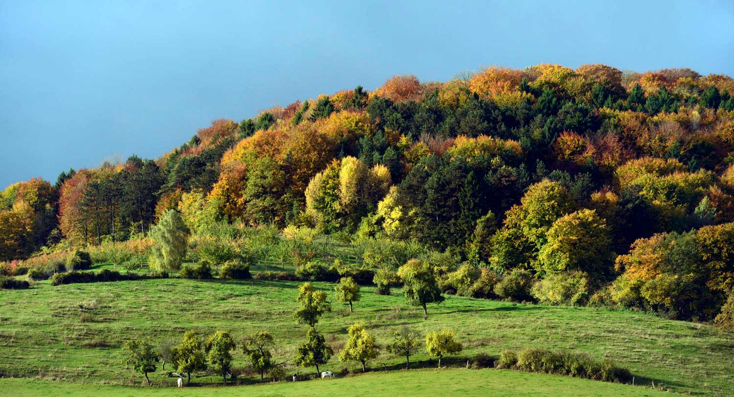 GR® de Pays de la Woëvre, boucle à partir de Bonzée - Le château ...